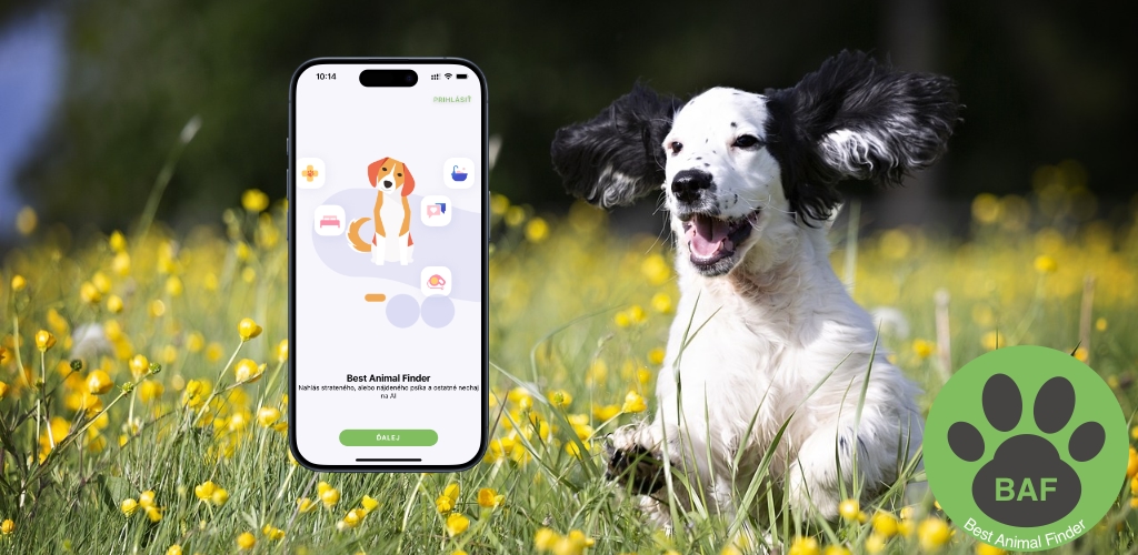 Home | BAF - Best Animal Finder